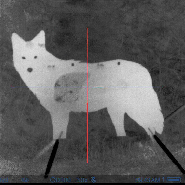 Coyote Reactive Target - Full-Size - Side Profile - Atlas Target Works